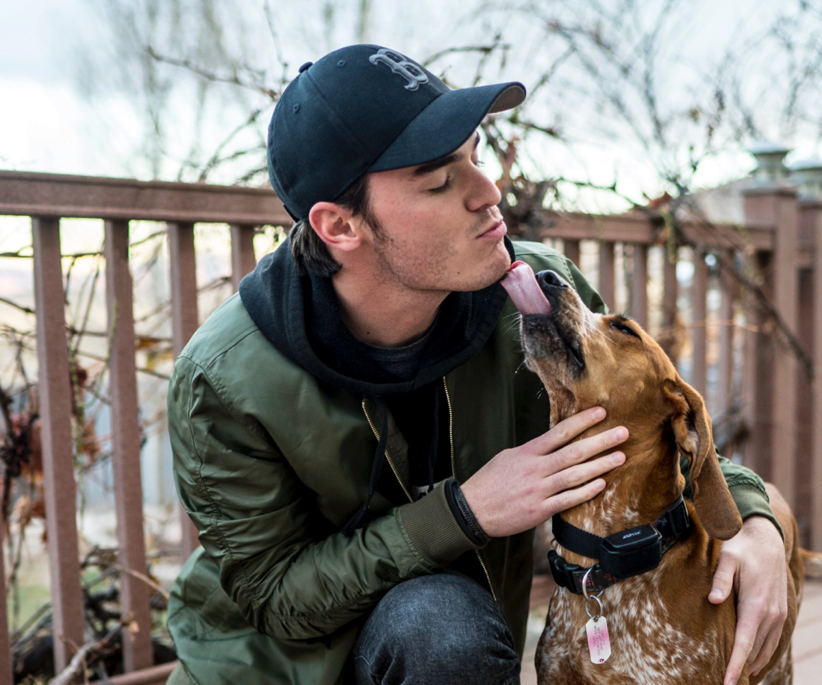 ¿Por qué mi perro me llena de babas? - Perrhijos