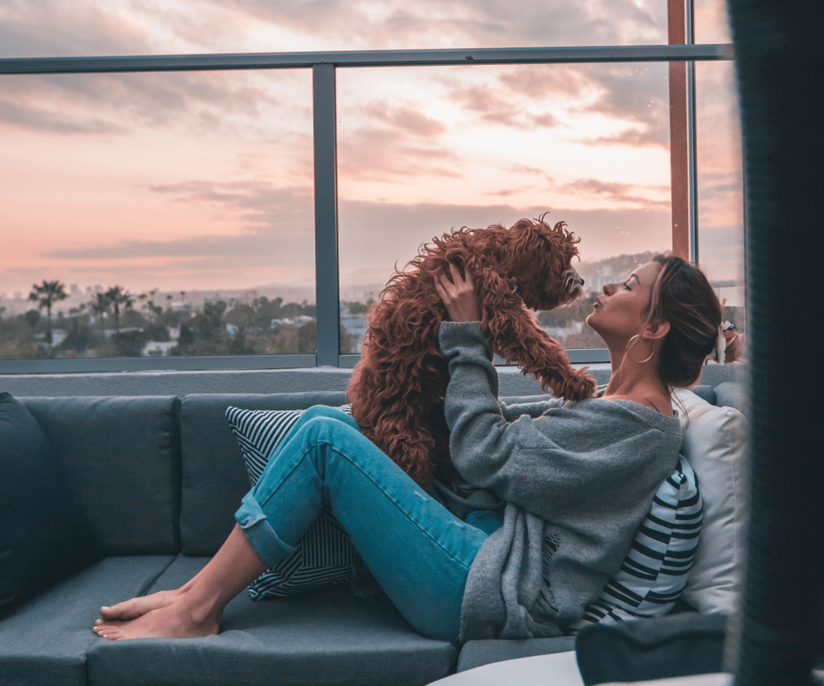 ¿Por qué mi perro me llena de babas? - Perrhijos