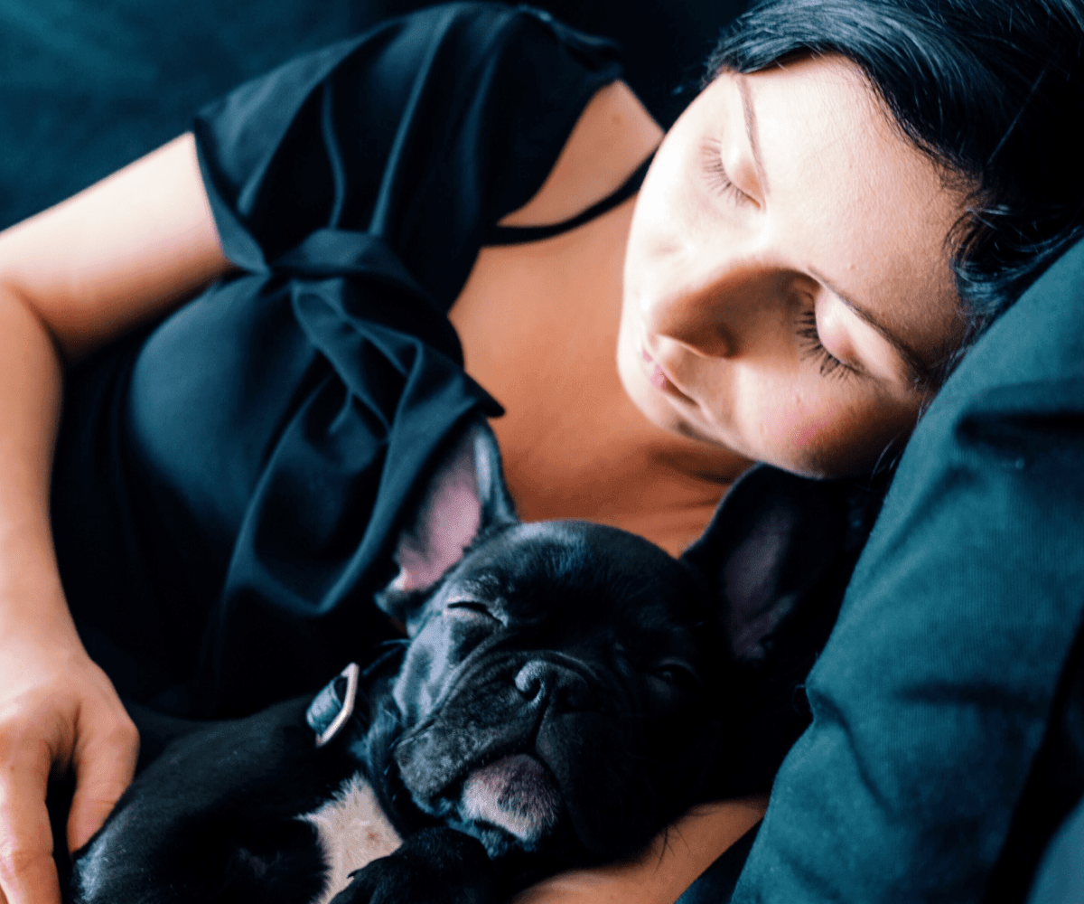 Cómo saber si tu perro confía en ti - Perrhijos