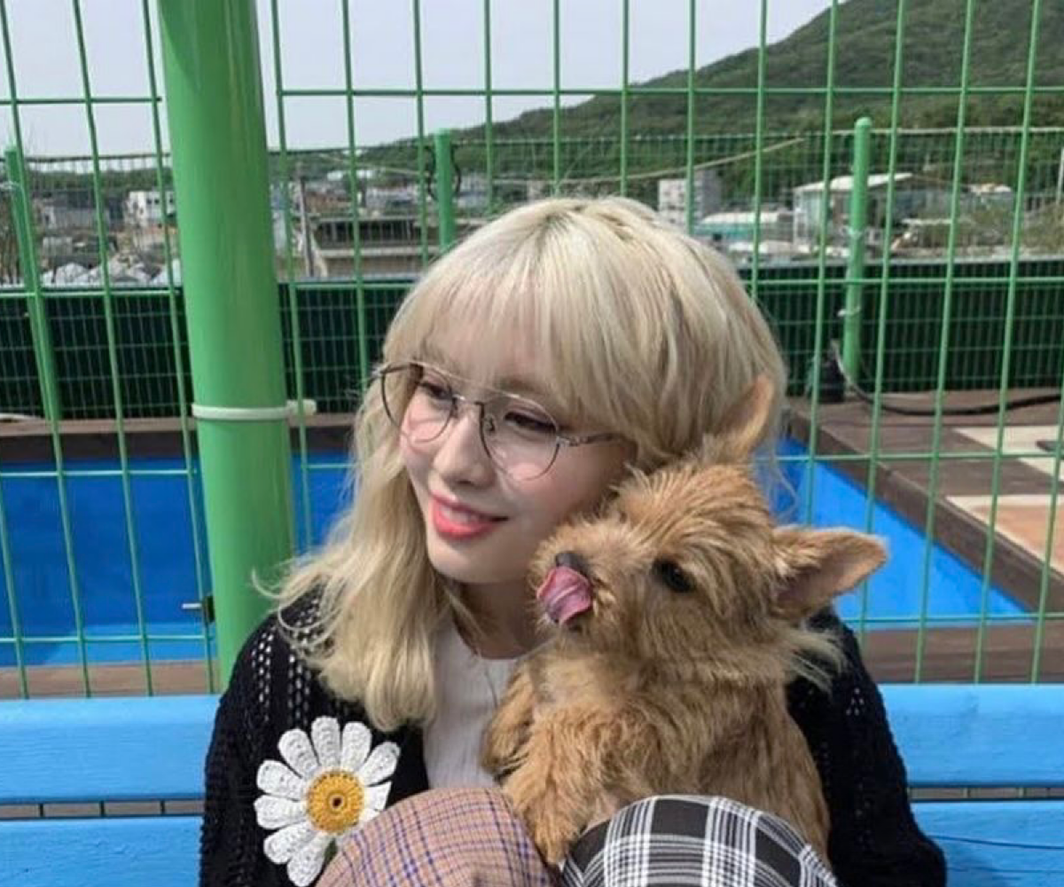 K-Pop: Conoce a los perritos de TWICE - Perrhijos General