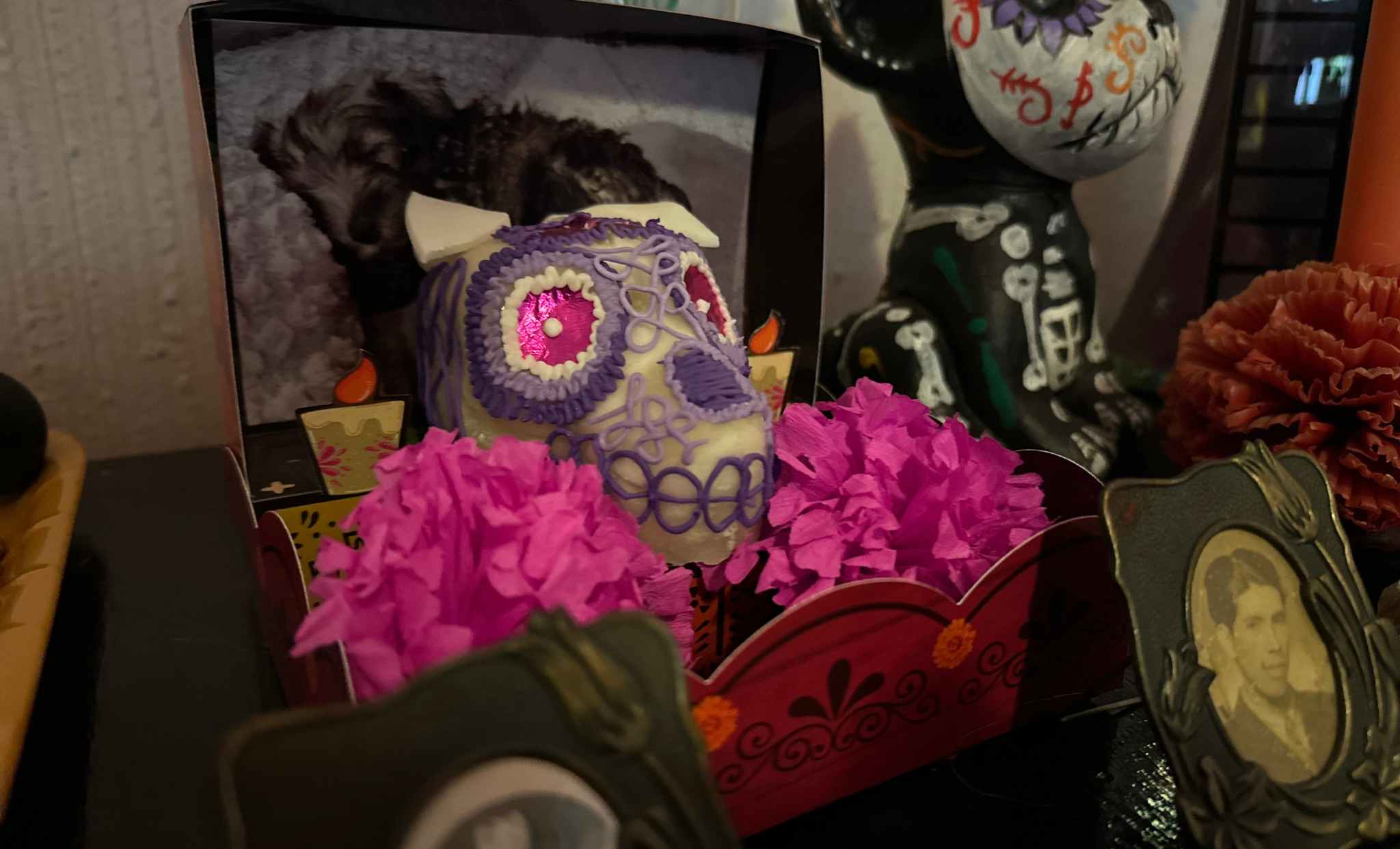 El papel de los perros en el Día de Muertos: Entre la historia y la ...